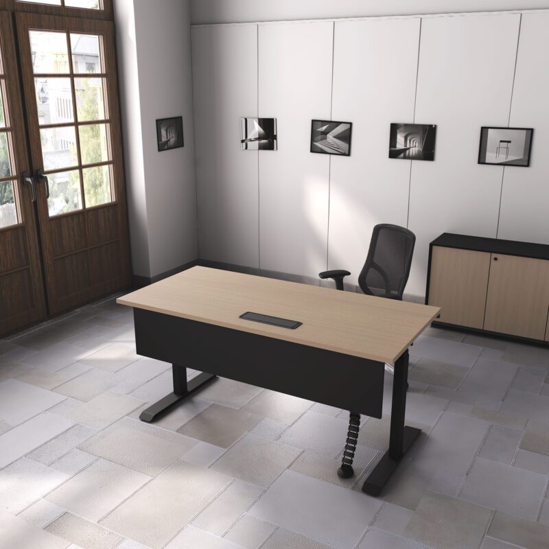 Ergo Series Dual Motor Electric Height Adjustable Standing Desks